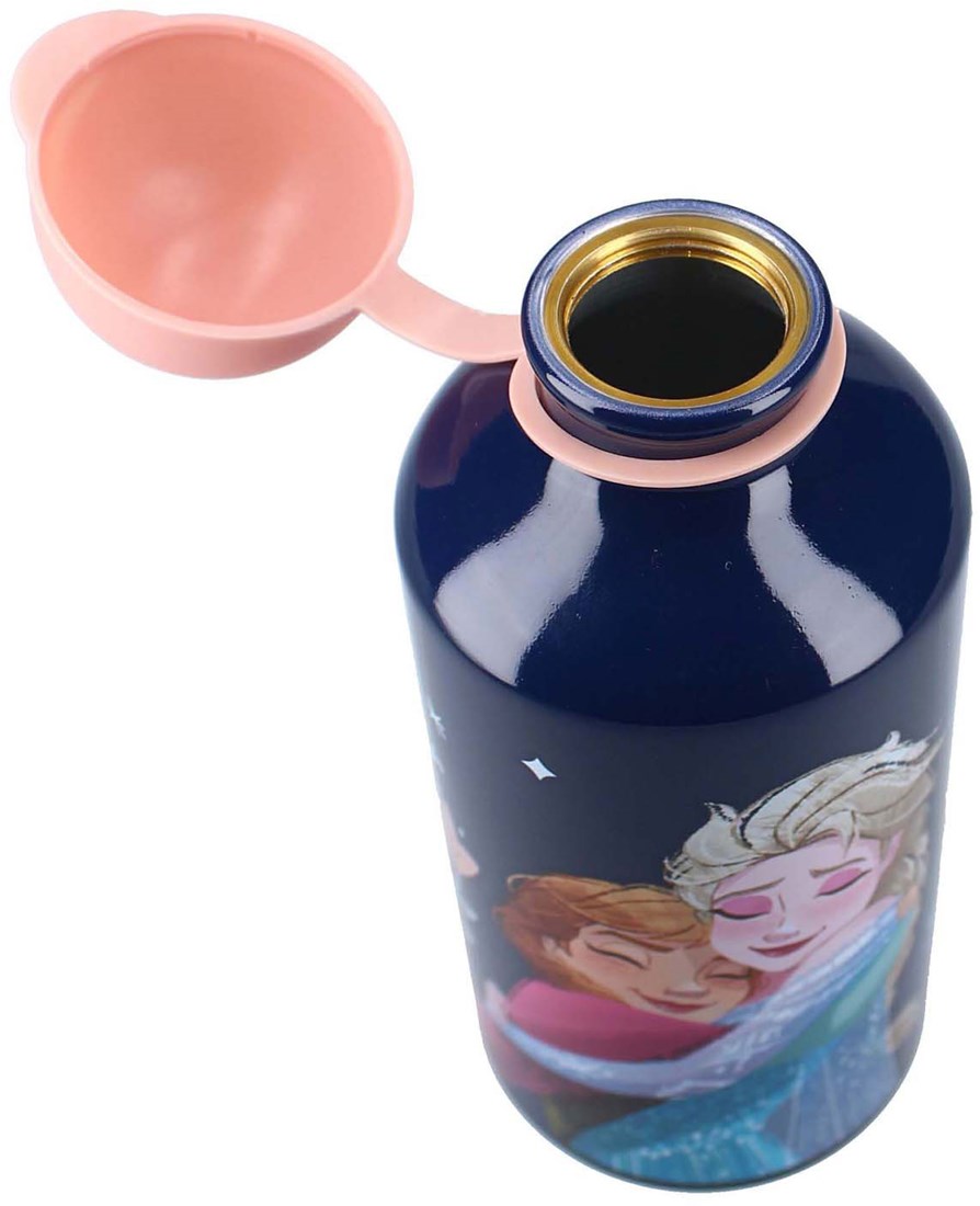 Vadobag Frozen II Anna and Elsa water bottle - 500ml BPA-free Planet ...