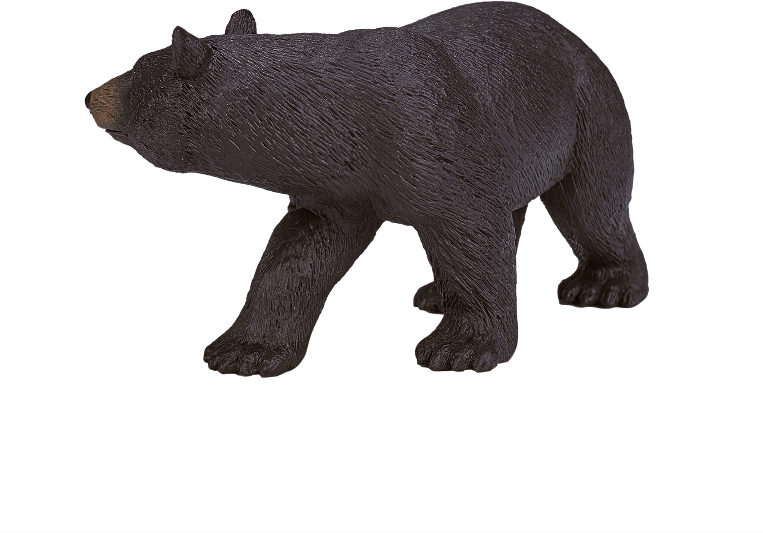 Black bear toy store