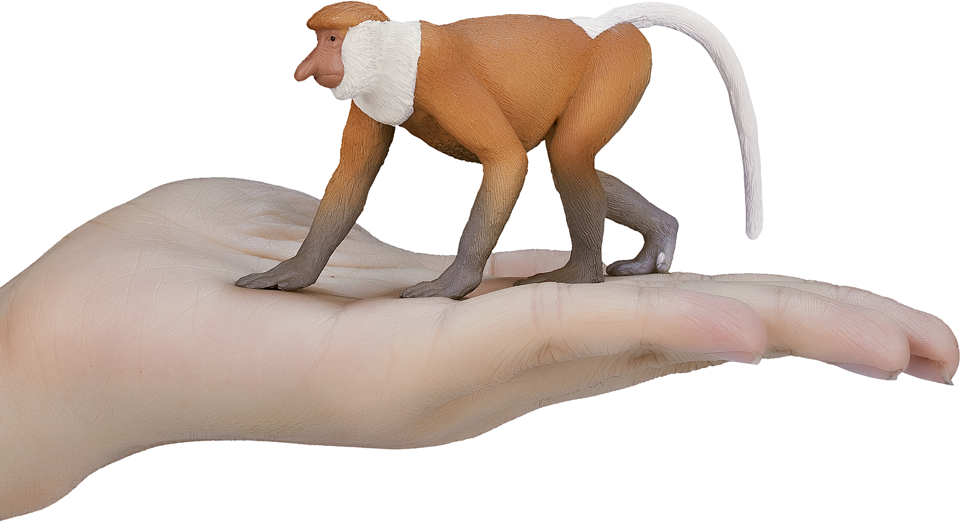 Proboscis monkey toy store