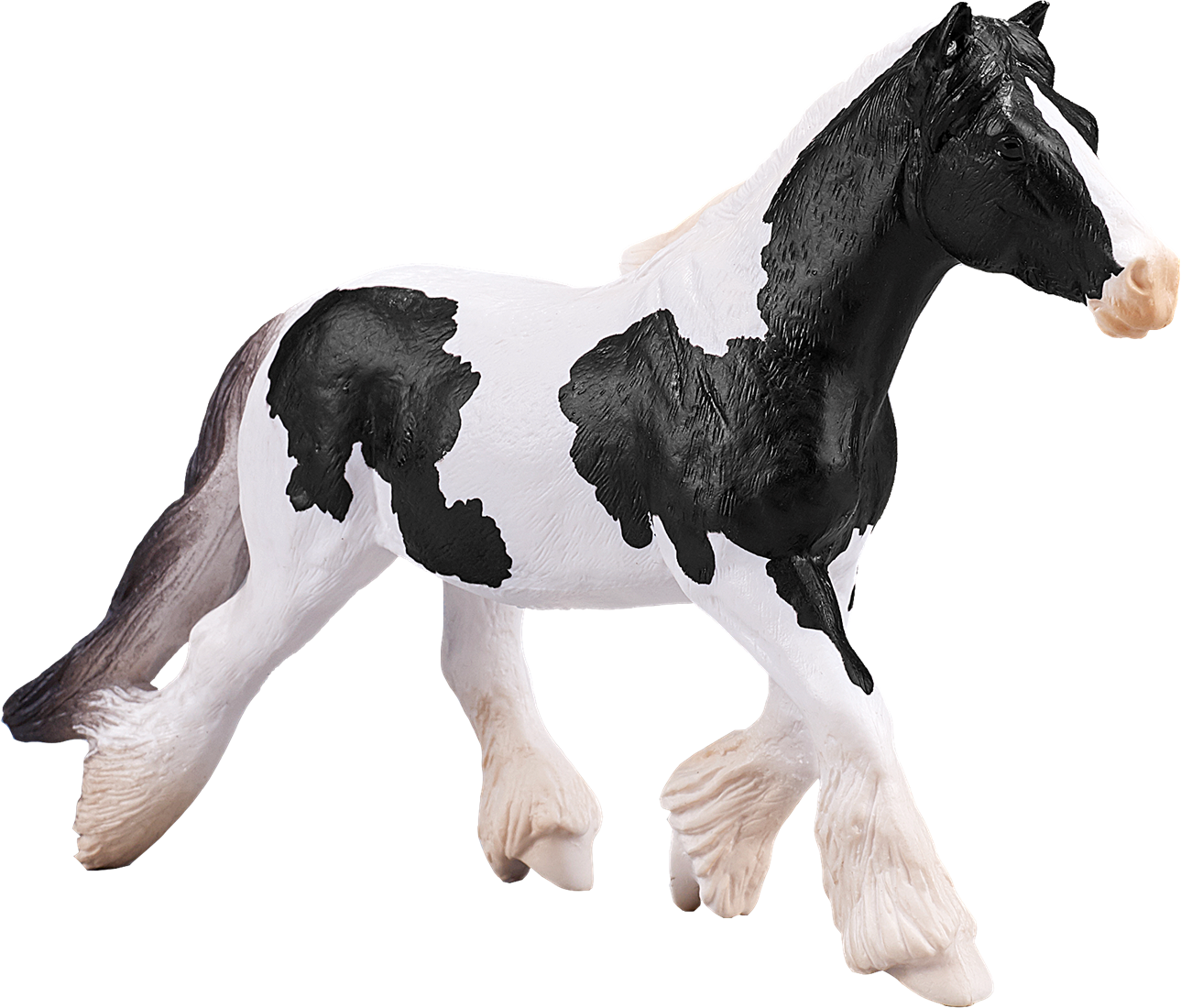 Horse Tinker Mare Tinker Mare Floss Edyta Trojańska Koch